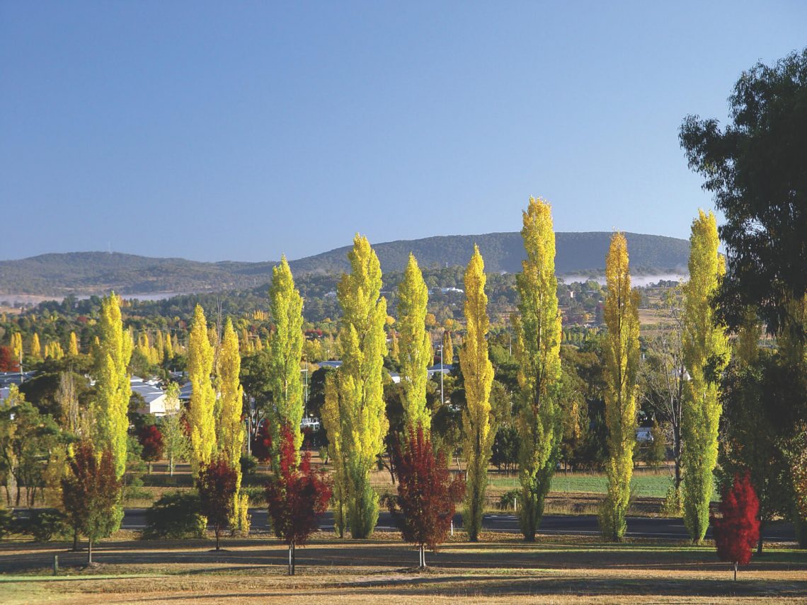 Georges Junction - A Tranquil 4WD Getaway at the Junction of Georges ...