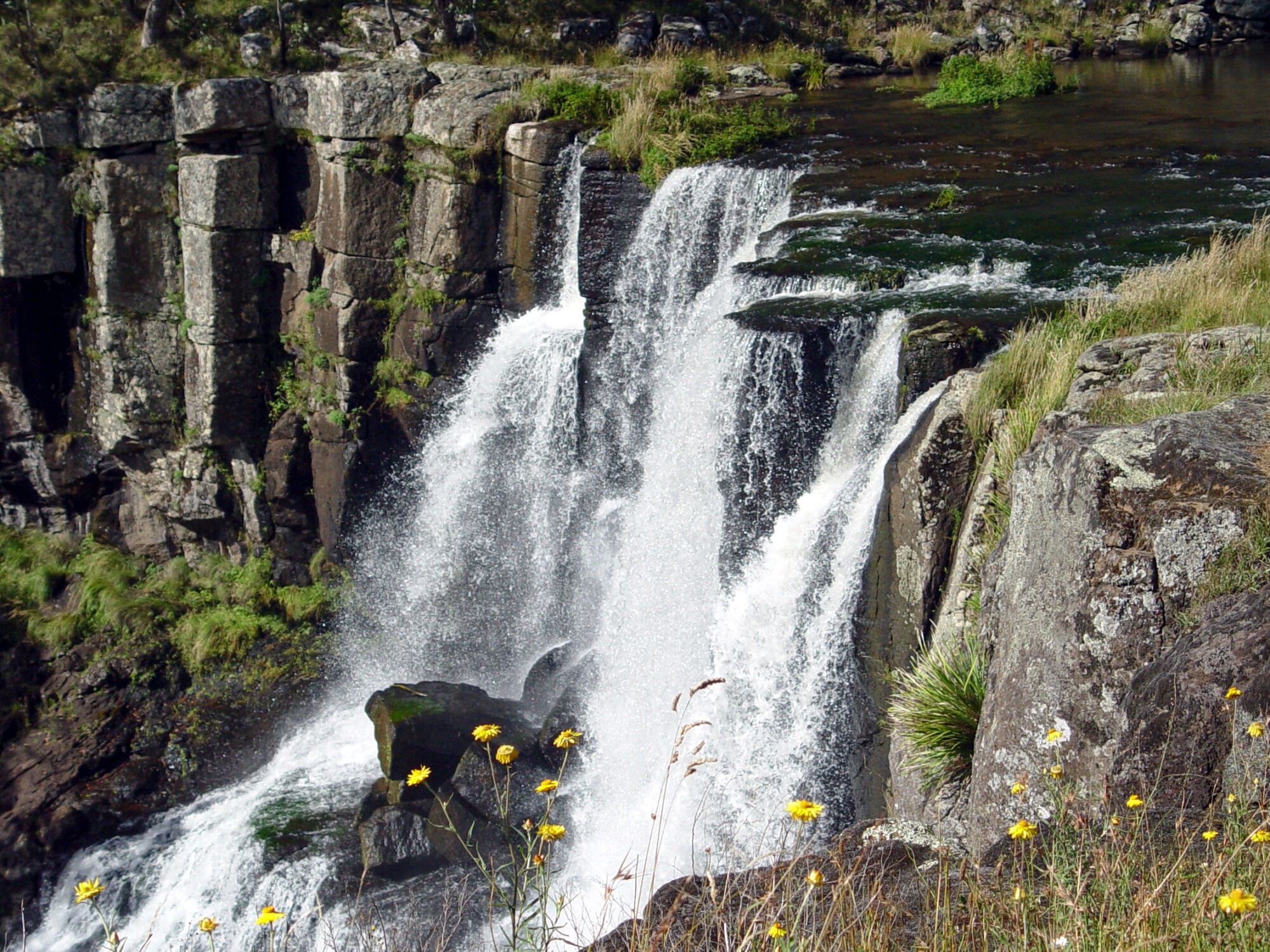Exploring National Parks around Armidale - Armidale Region