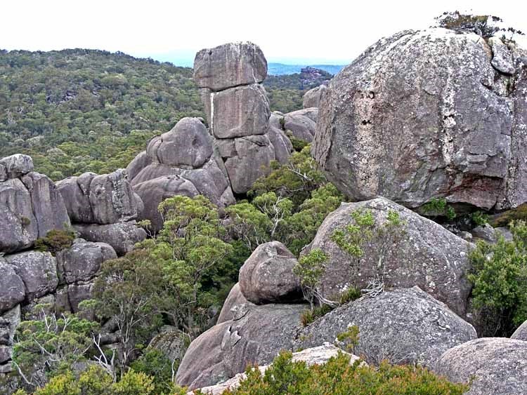 Maps and guides - Armidale Region
