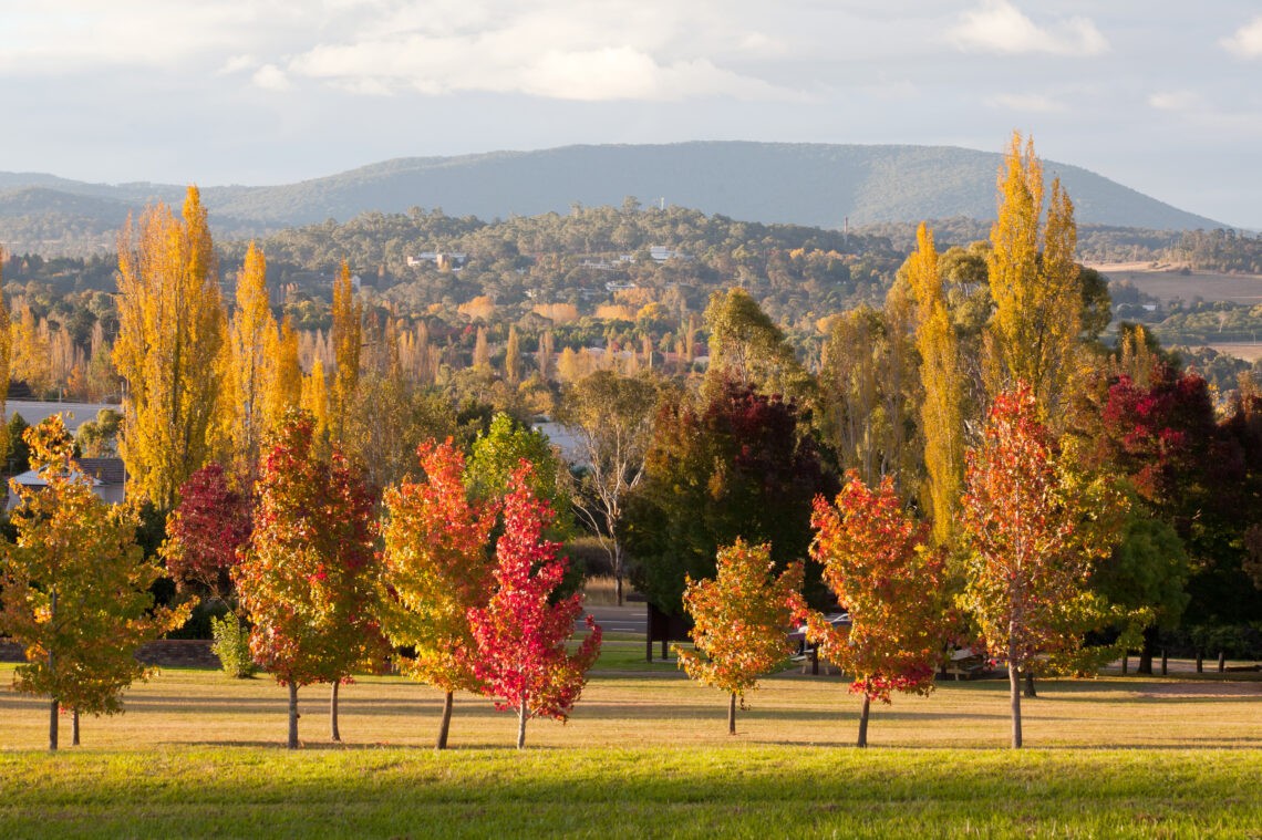 Media resources - Visit Armidale