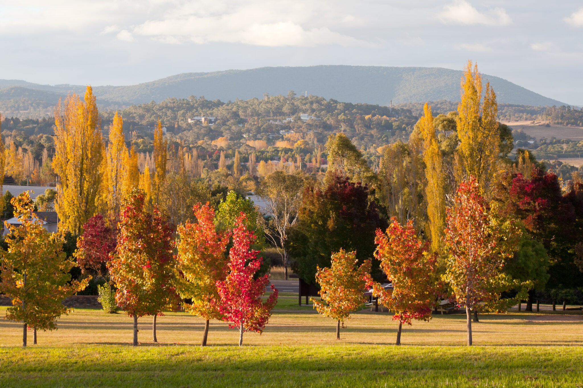 Media resources - Visit Armidale