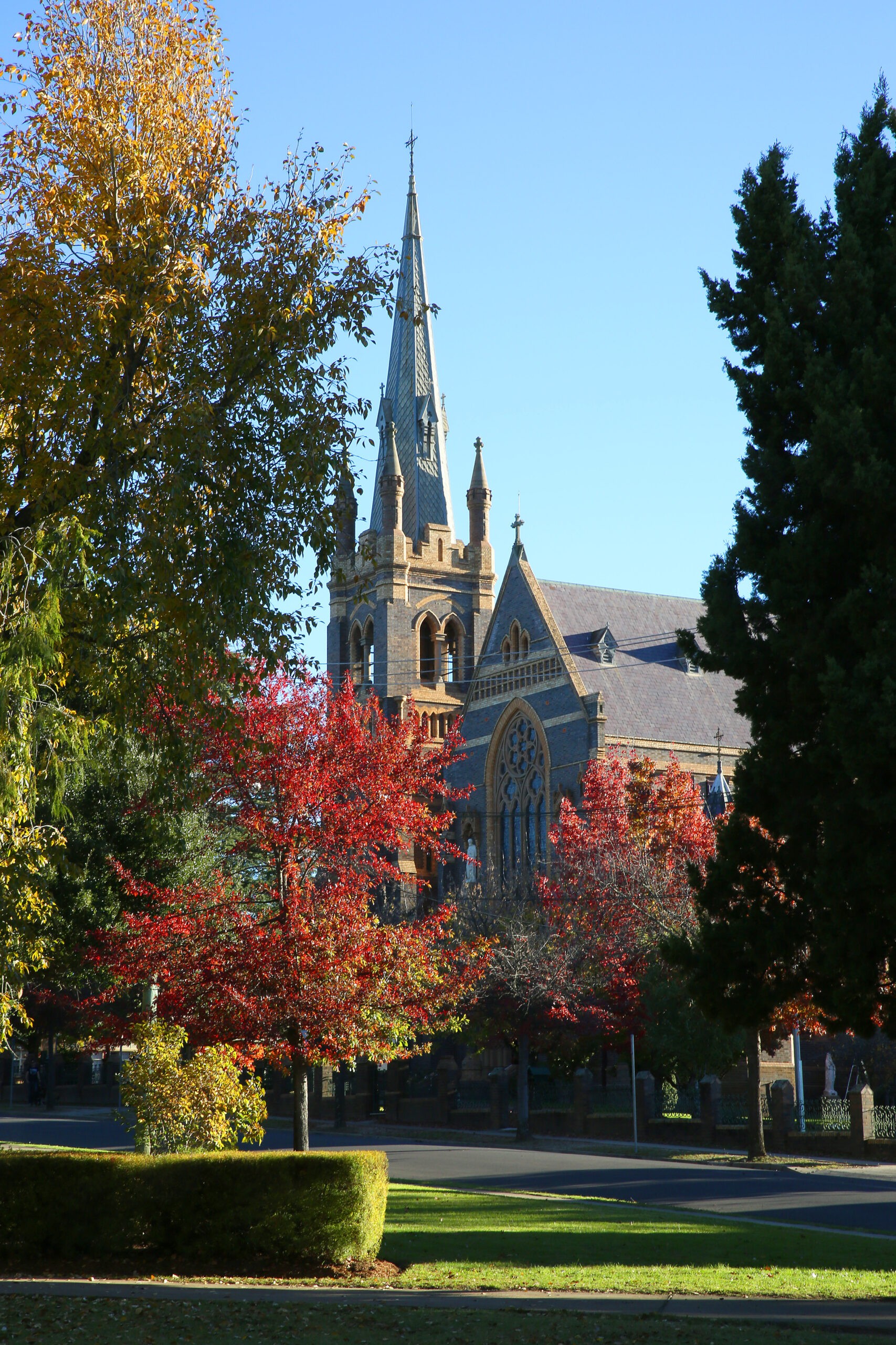Media resources - Visit Armidale