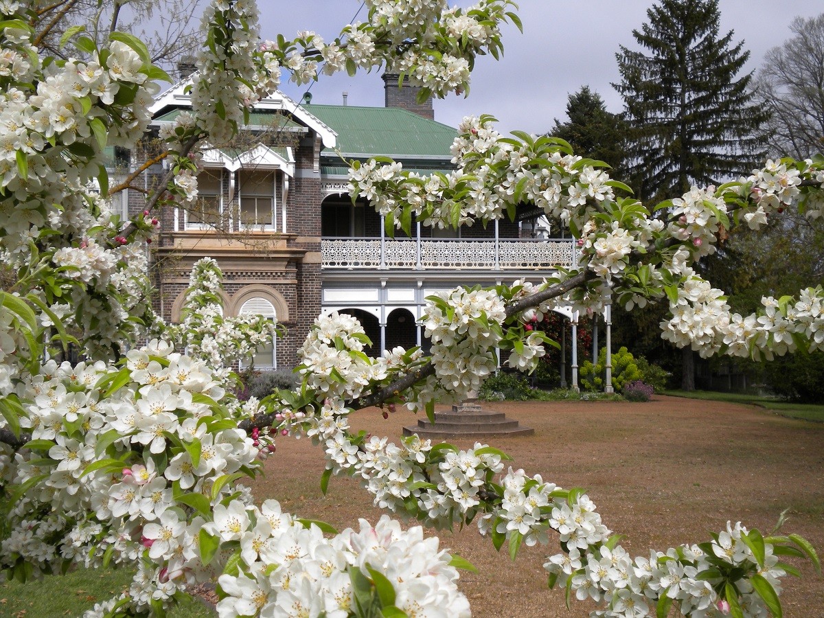 10 Things to do for over 40s - Armidale Region