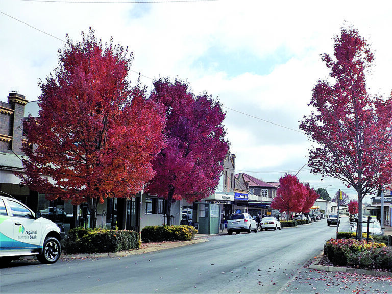 Guyra - Armidale Region