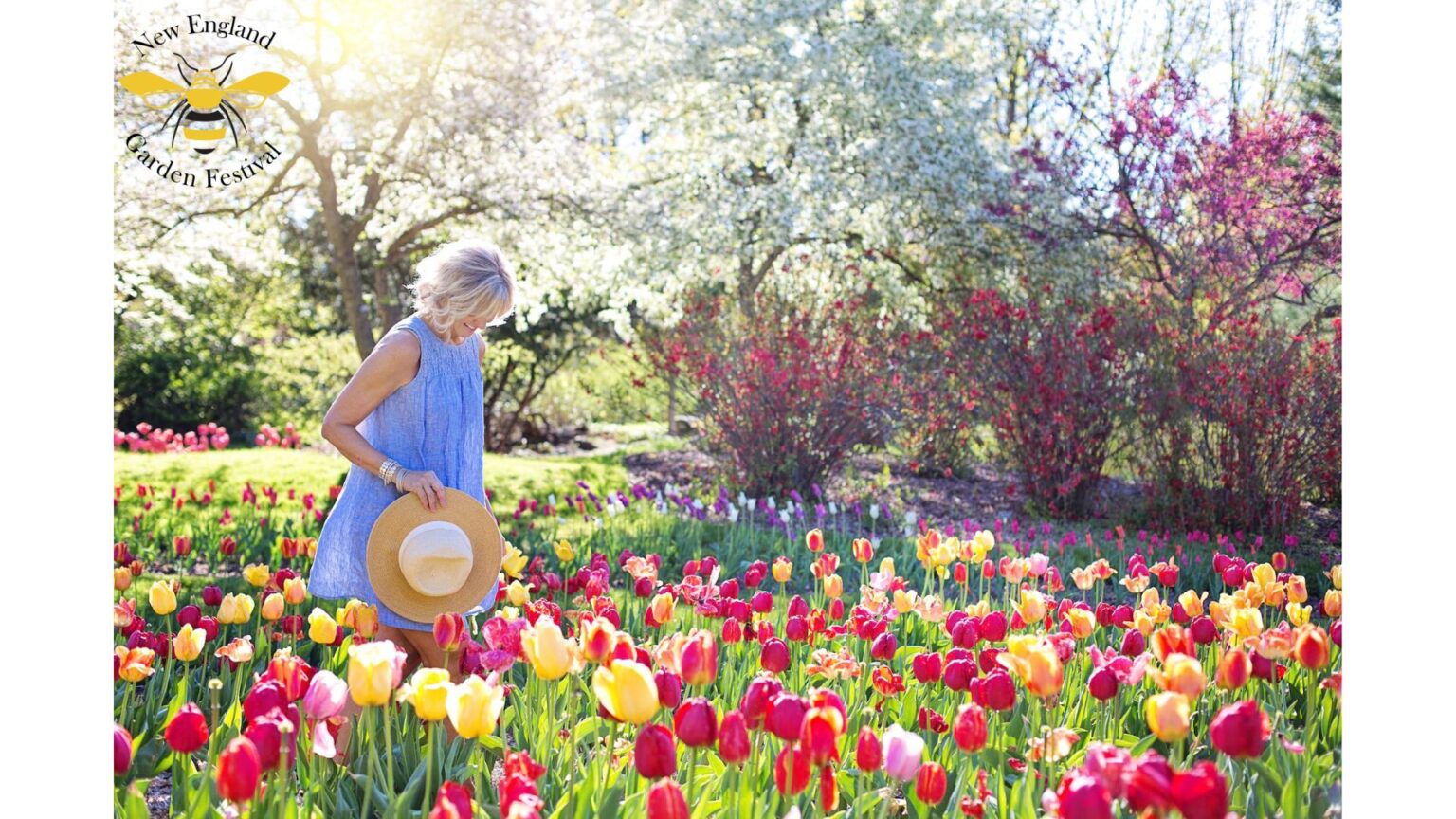 Events – Armidale Region