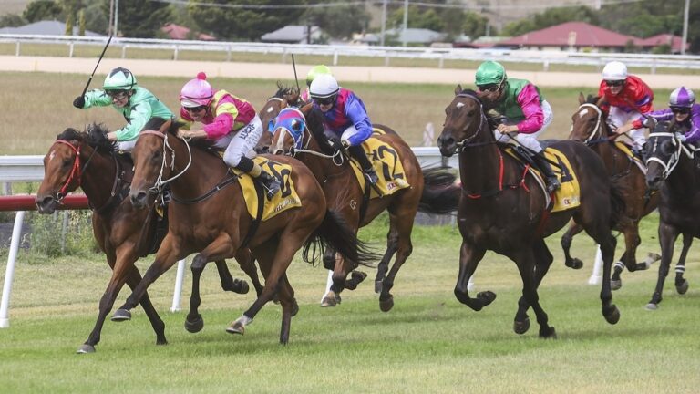 Events – Armidale Region