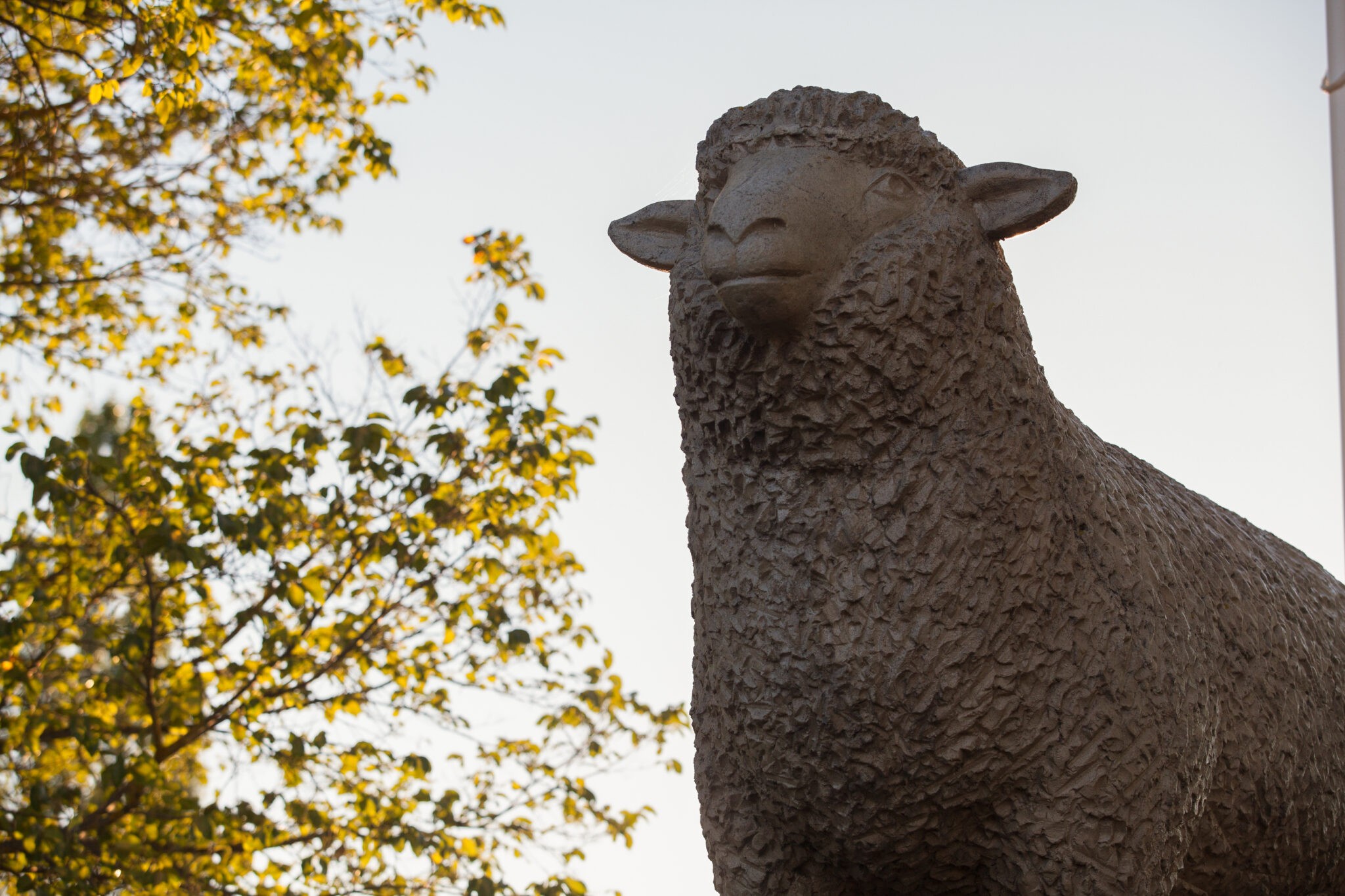 A guide to Guyra - Armidale Region
